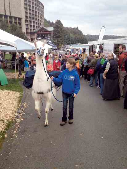 How YOU Can Shape MOTHER EARTH NEWS Magazine – Mother Earth News